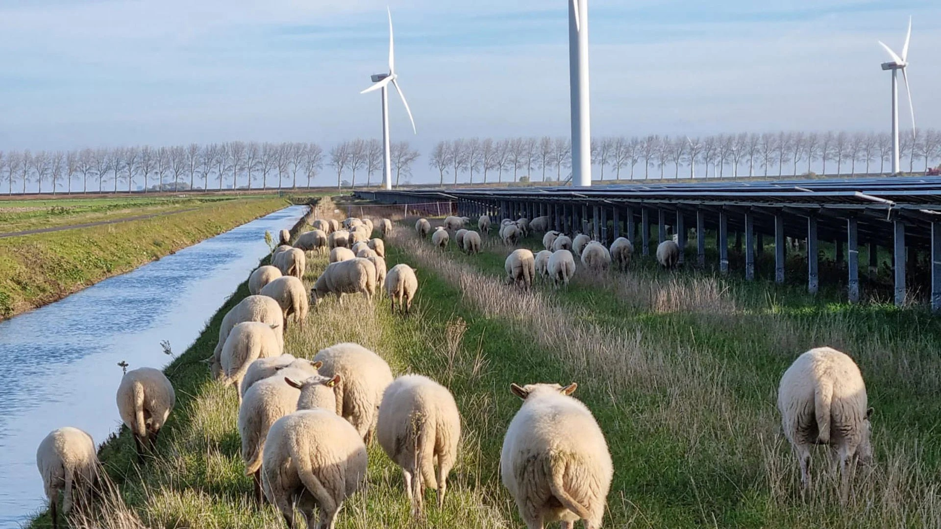 Aurinkoenergiaa ja akkuja - ilman tukia | Energy Plaza